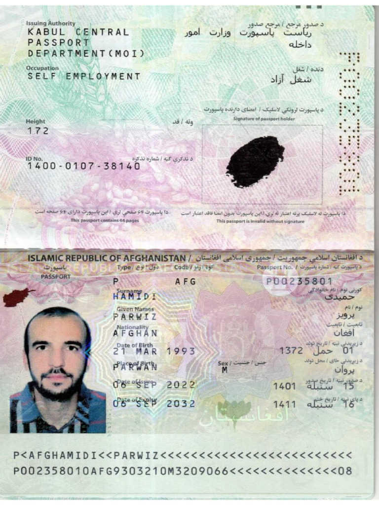 Parwiz Hamidi Passport | PDF