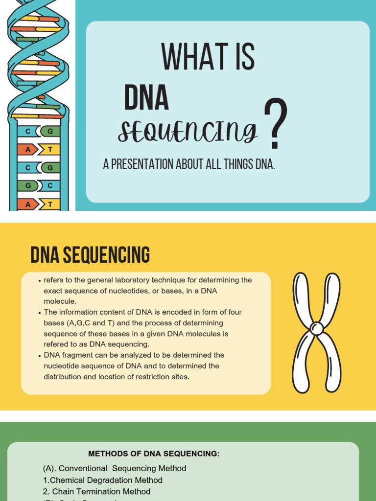 Dna Sequencing Report | PDF | Dna Sequencing | Dna
