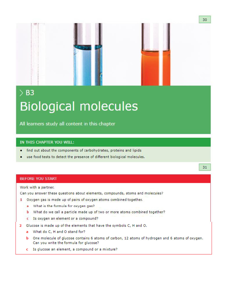 B3 - Biological Molecules | PDF