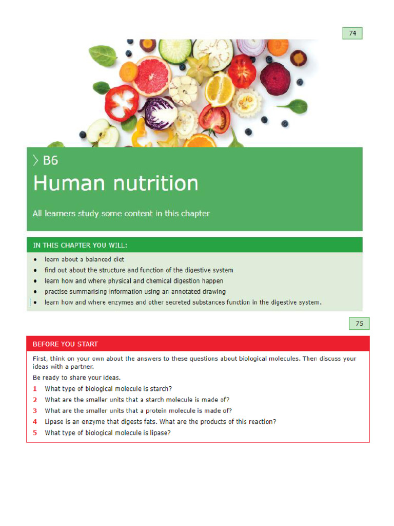 B6 - Human Nutrition | PDF