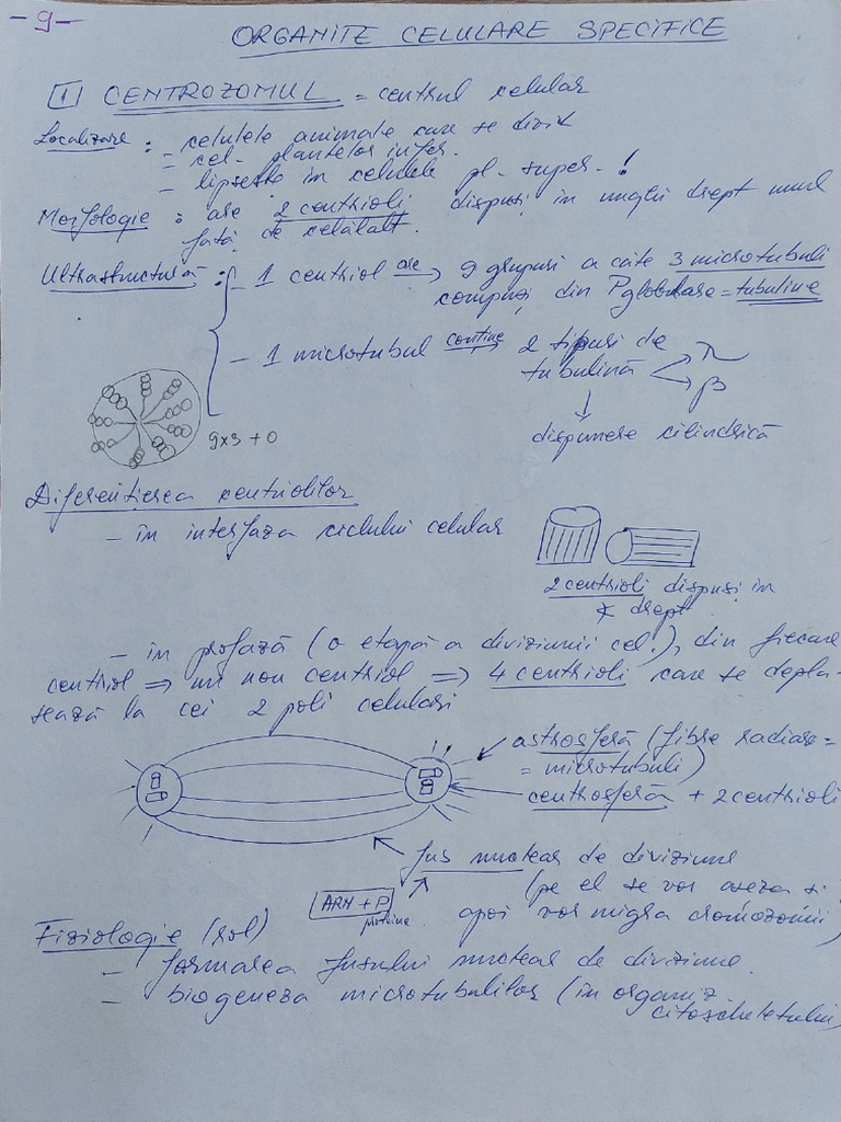 Organite Celulare Specifice Și Sistemul Informațional | PDF