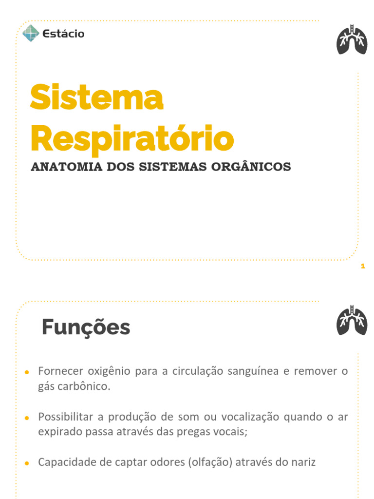 Aula 8.9 - Sistema Respirato Rio | PDF | Sistema respiratório | Laringe