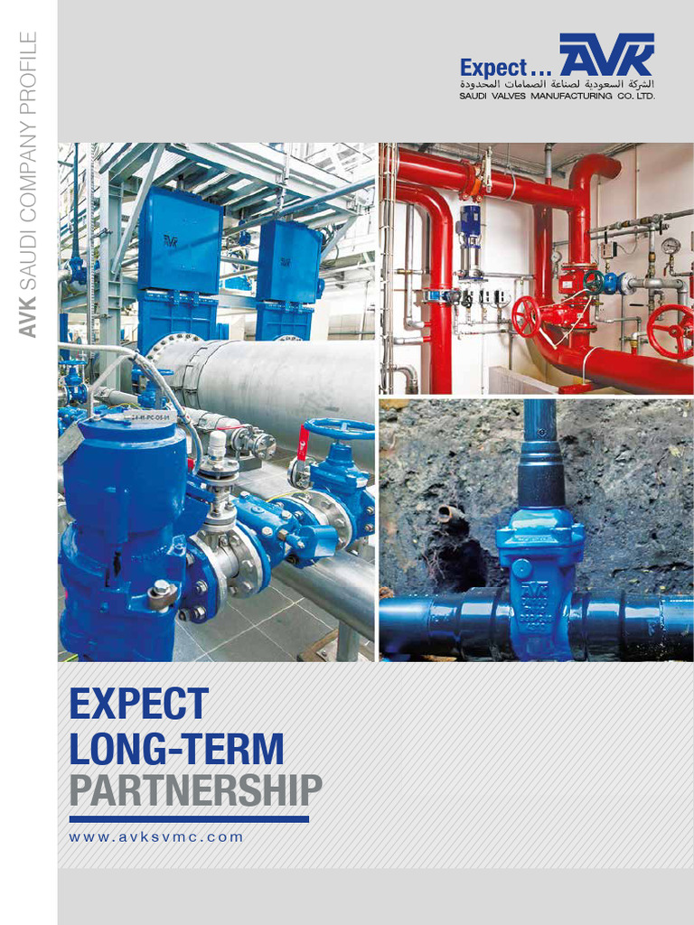 AVK SVMC Company Profile | PDF | Coating | Valve