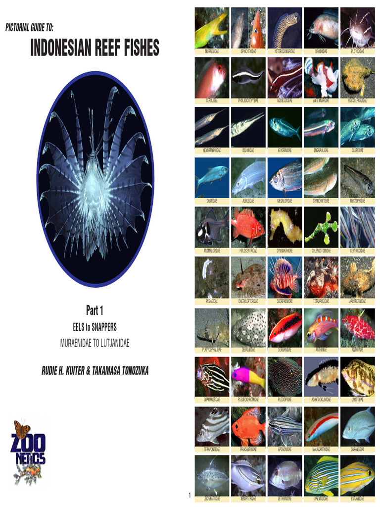 Kuiter&Tonozuka - 2001 IndonesianReefFishes Part I | PDF | Coral Reef ...
