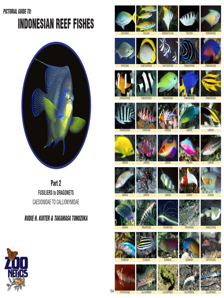 Kuiter&Tonozuka - 2001 IndonesianReefFishes Part II | PDF | Fish ...