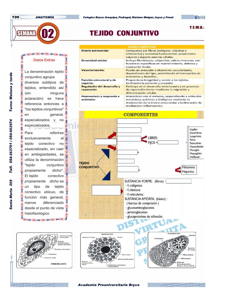 017 Anatomía Guia Anual 1 2025 Pdf