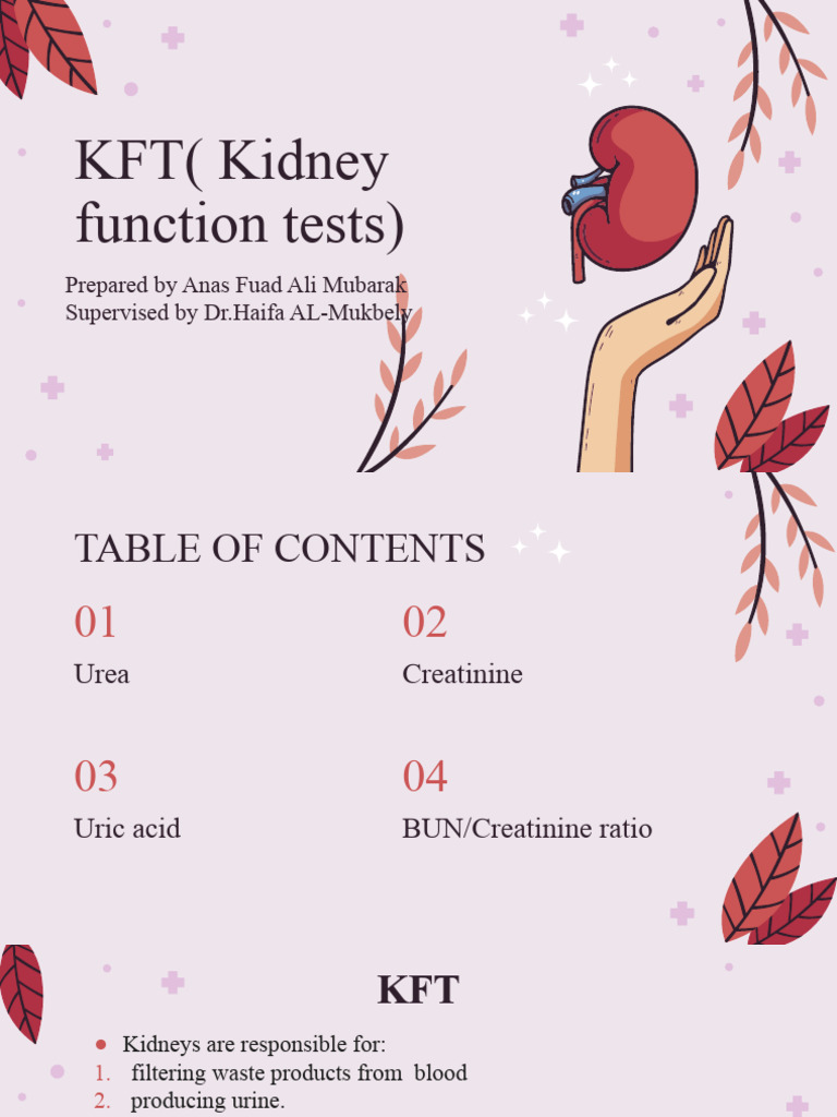 Kidneys Function Test Anas 2 | PDF | Creatinine | Kidney
