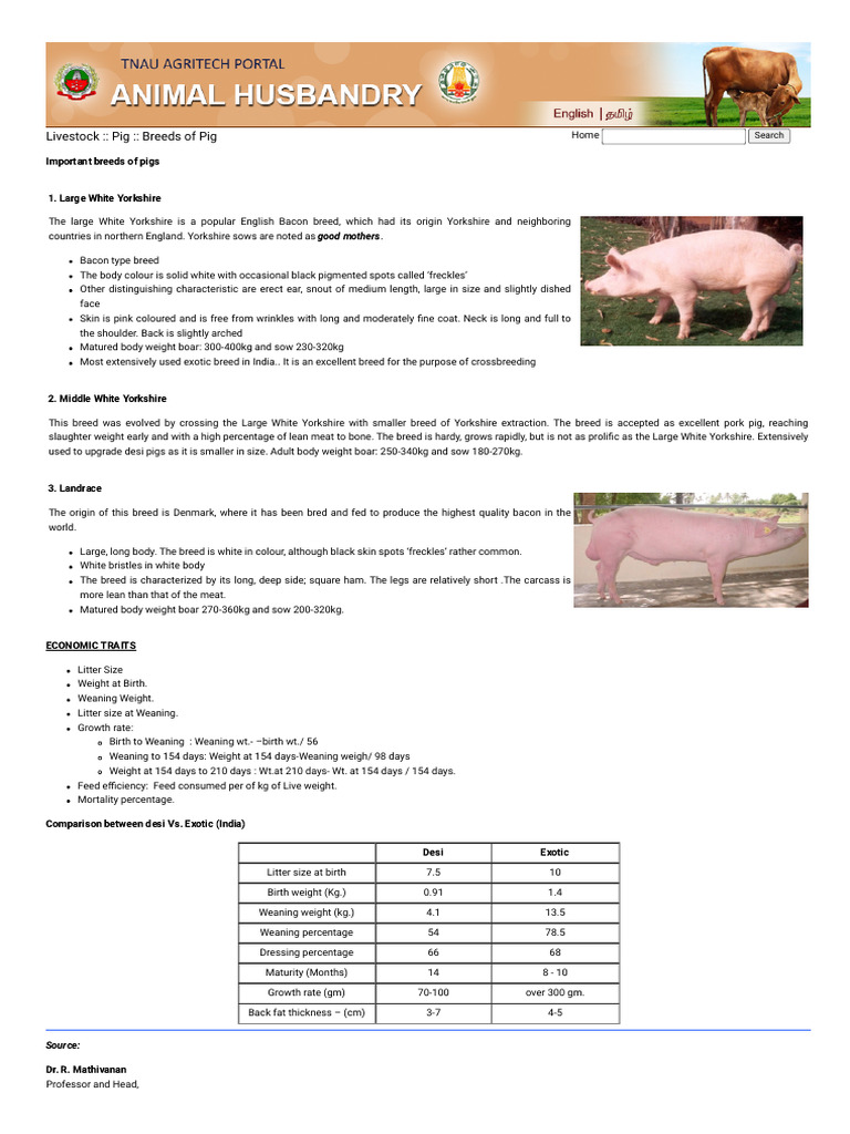 Pig Breeds for Farmers | PDF | Pig | Ethnobiology