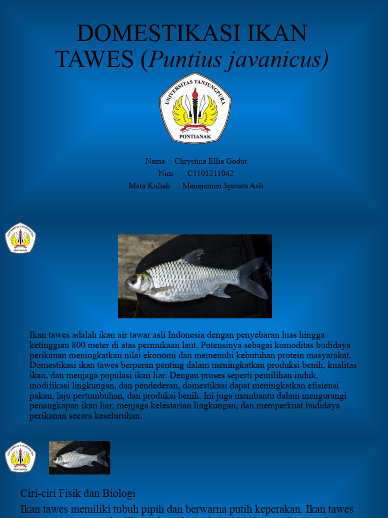 Domestikasi Ikan Tawes | PDF | Kesehatan Holistik | Sains & Matematika