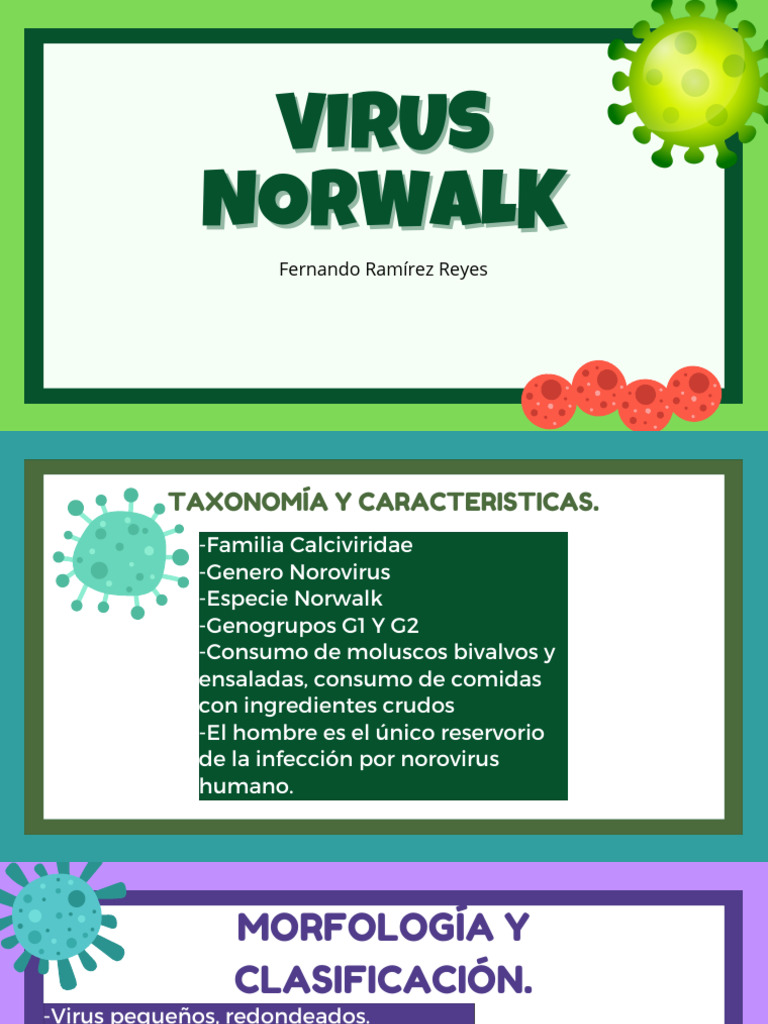 Virus Norwalk | PDF | Virus | Gene