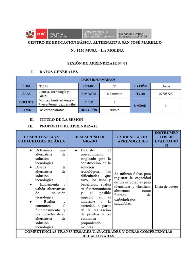 SESIÓN - Cts | PDF | Alimentos | Aprendizaje