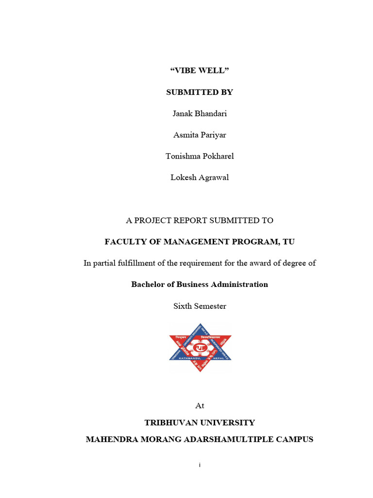 Vibe Well | PDF | Focus Group | Feasibility Study