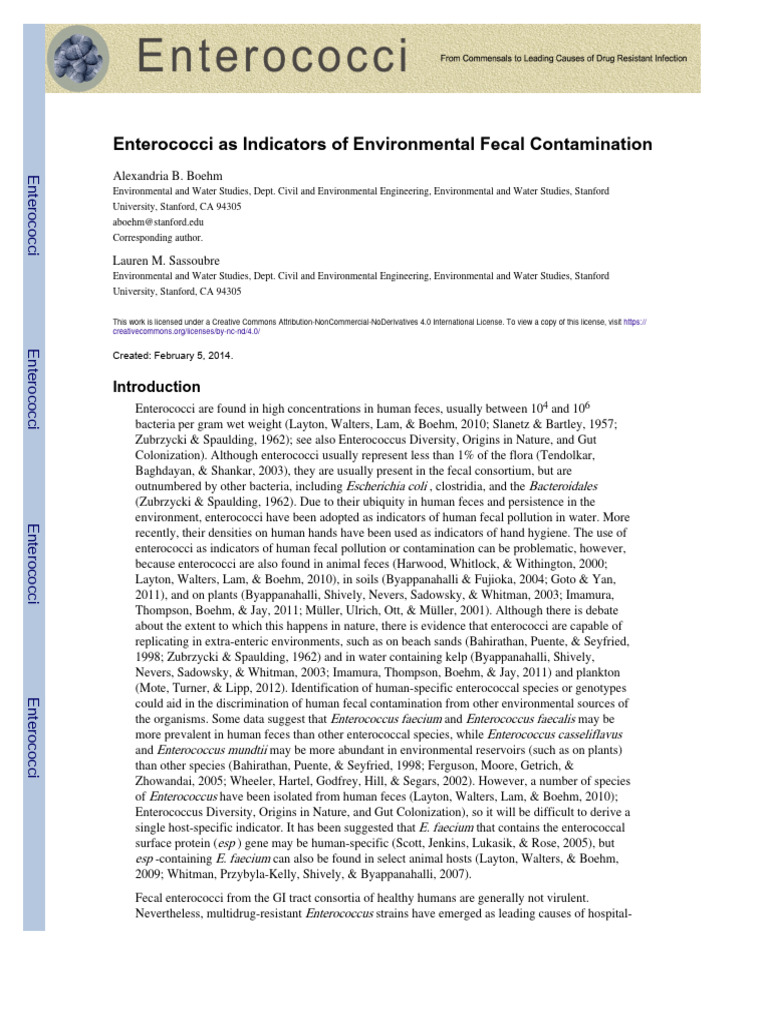 Enterococcus As Indicators Cikk Pdf Real Time Polymerase Chain Reaction Drinking Water