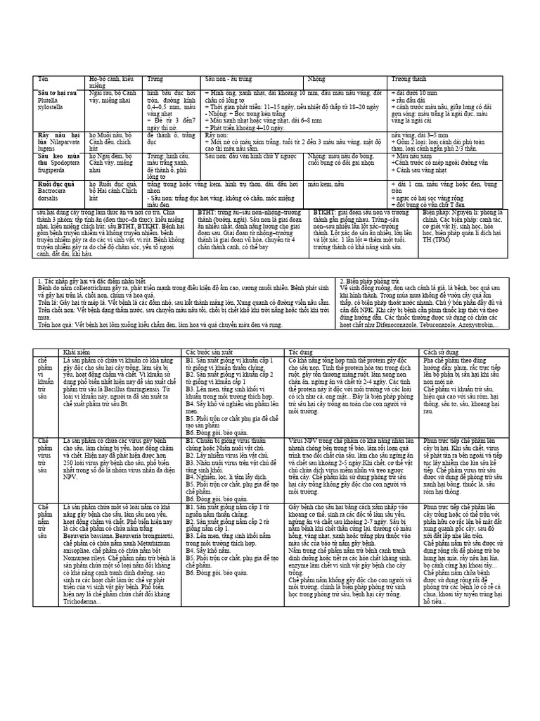 Sâu Tơ H I Rau | PDF