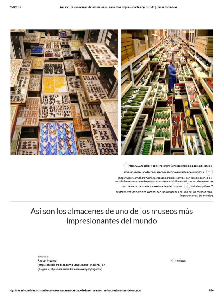 Así Son Los Almacenes de Uno de Los Museos Más Impresionantes Del Mundo ... Así Son Los Almacenes de Uno de Los Museos Más Impresionantes Del Mundo ...