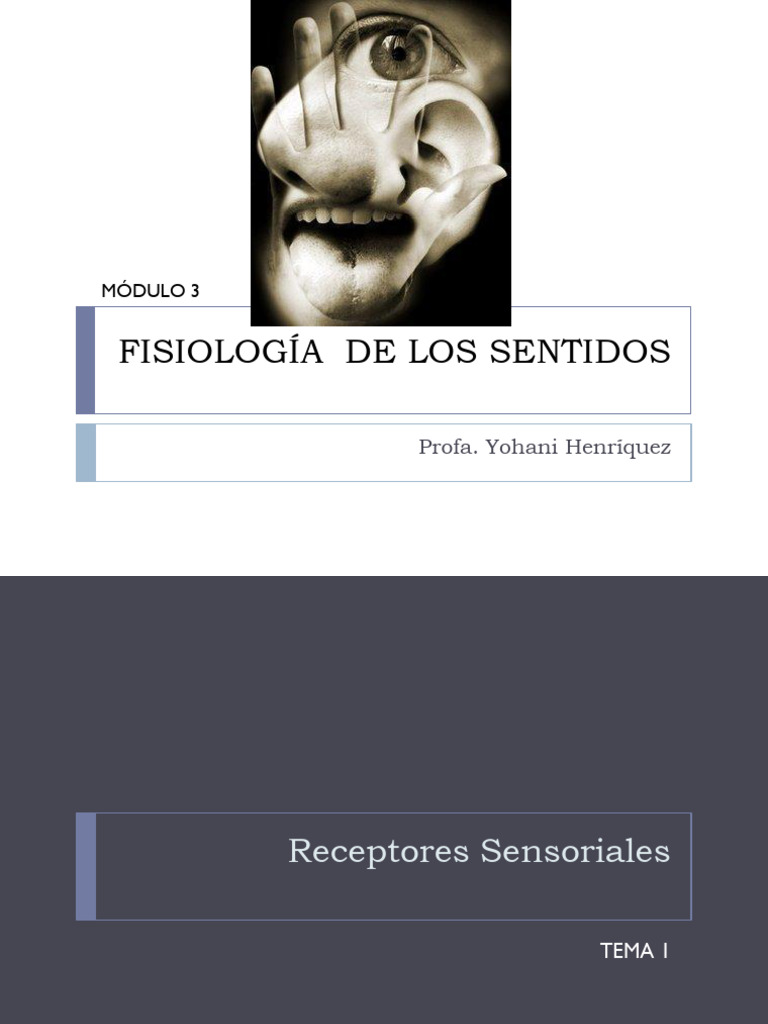 Fisiolog-a de los sentidos | PDF | Percepción visual | Sentidos