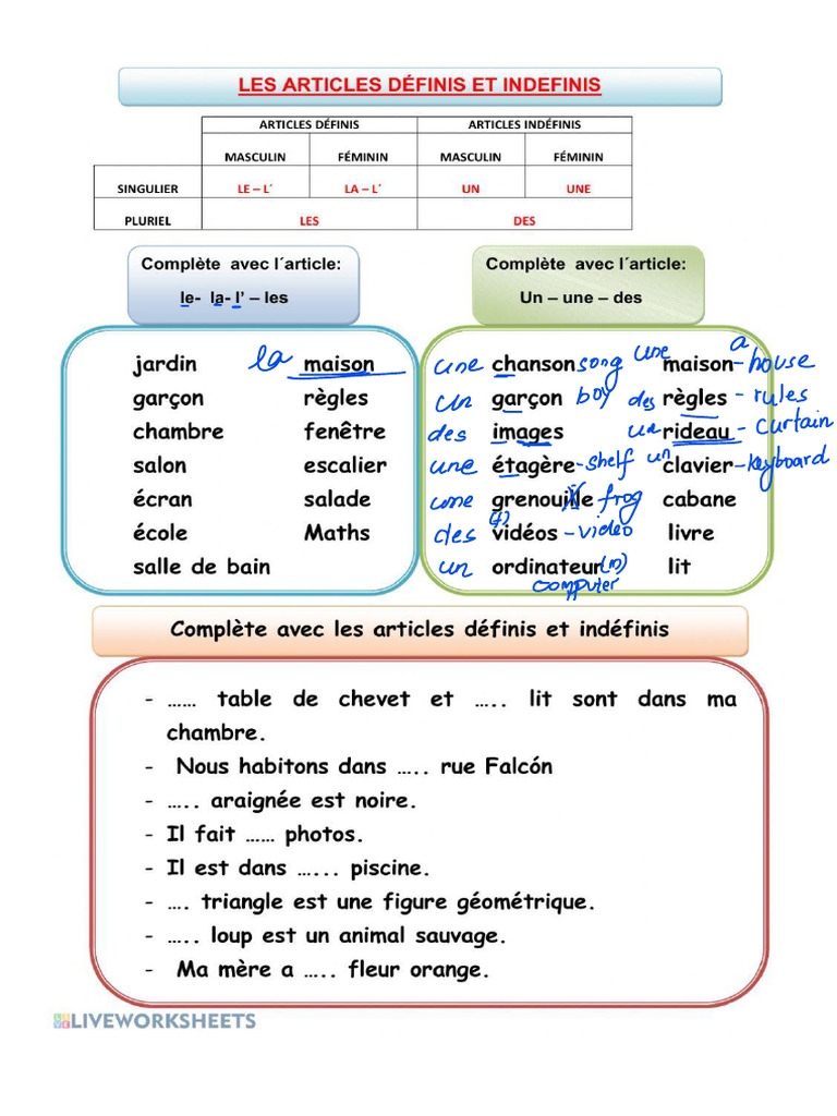 Les Articles Definis Et Indefinis | PDF