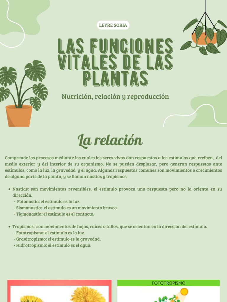 Las Funciones Vitales de Las Plantas | PDF | Plantas | Flores
