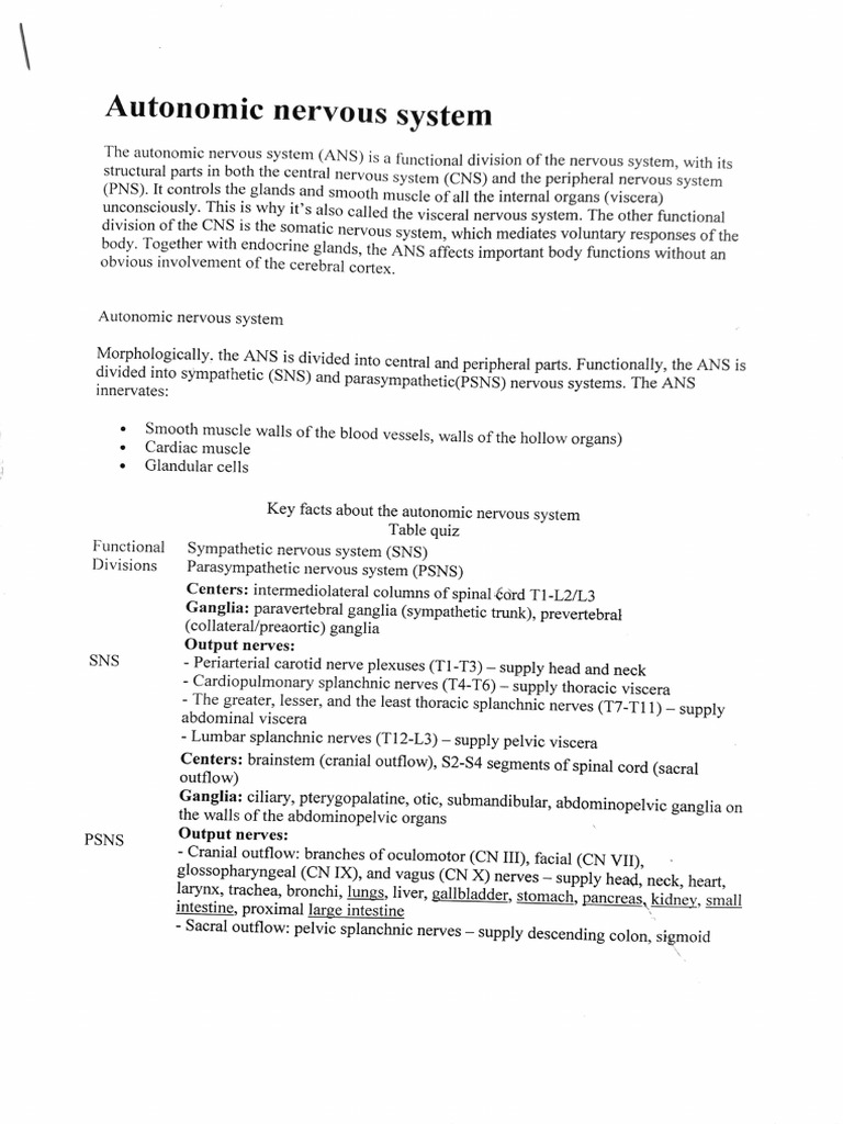 Autonomic Nervous System | PDF