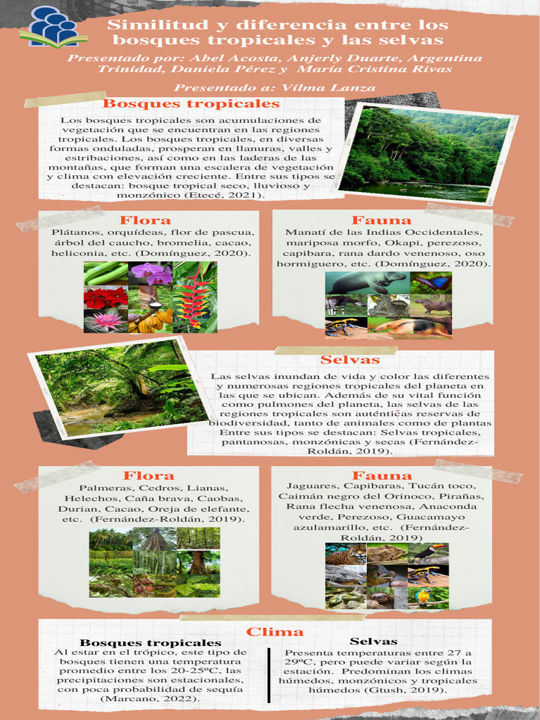 Póster Sobre La Similitud y Diferencia Entre Los Bosques Tropicales y ...
