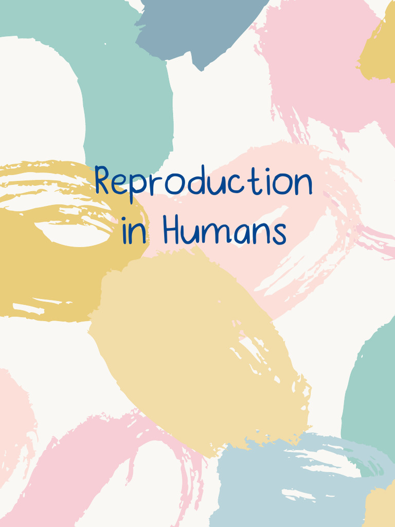 Reproduction in Human | Download Free PDF | Menstrual Cycle | Human ...