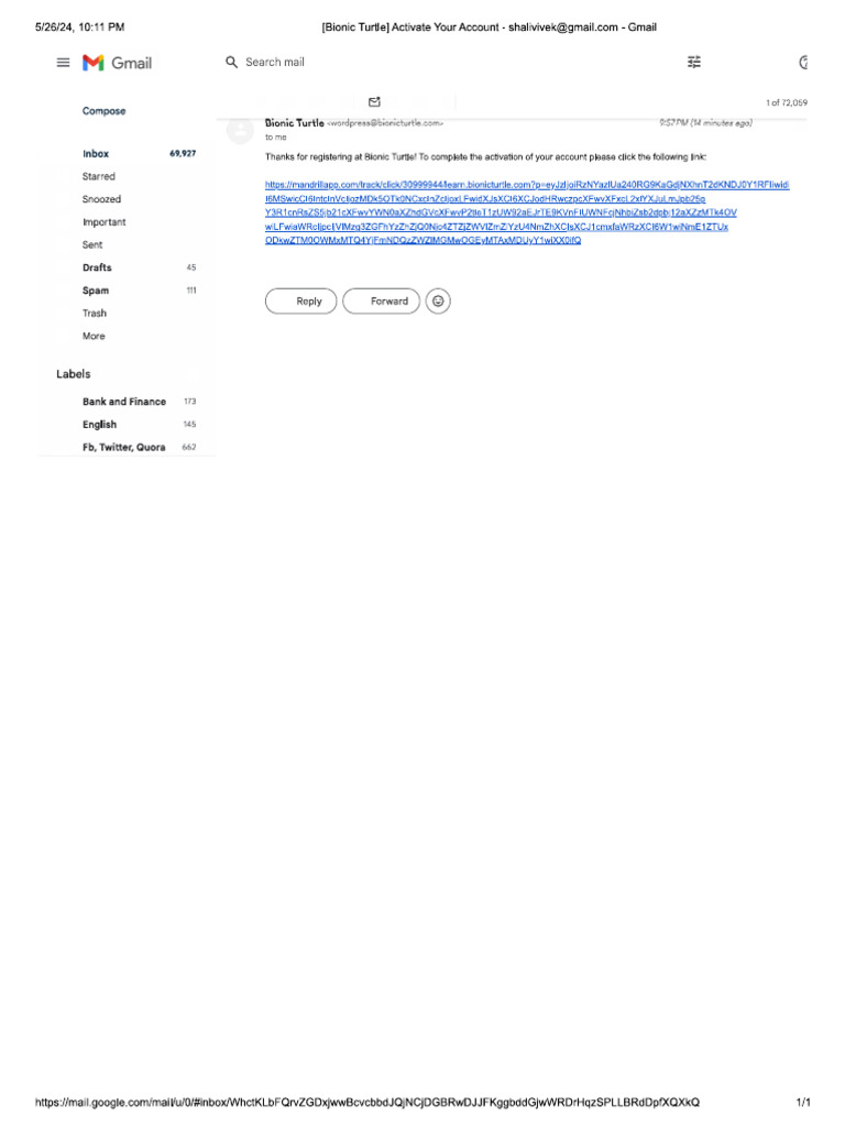 bionic turtle_res | PDF