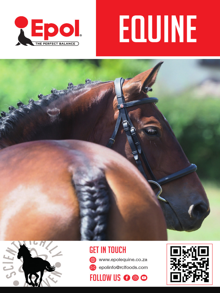 Horse Brochure 2022 Digital File | PDF | Horse Breeding | Nutrition