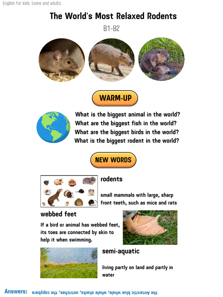 The_World's_Most_Relaxed_Rodents_Lesson_B1_B2_English_for_kids_teens ...