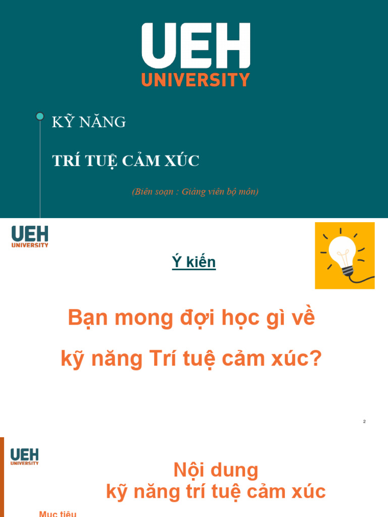 TRÍ TUỆ CẢM XÚC | PDF