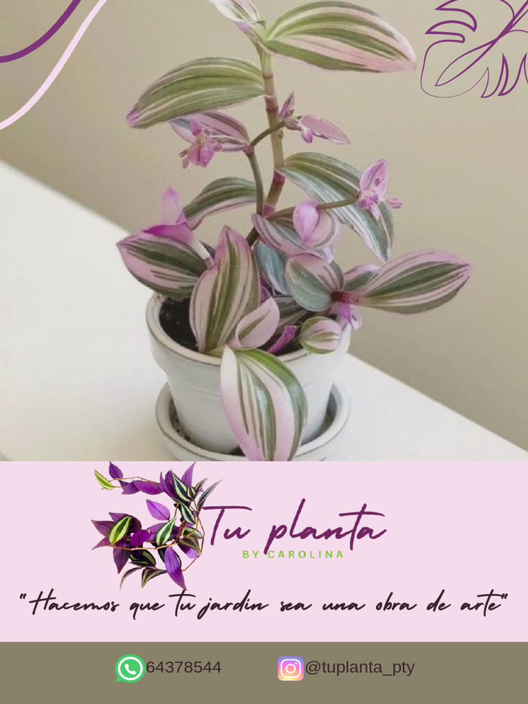 Cata Logo Online Organic Marro N 20240123 184438 0000 | PDF | Compost ...