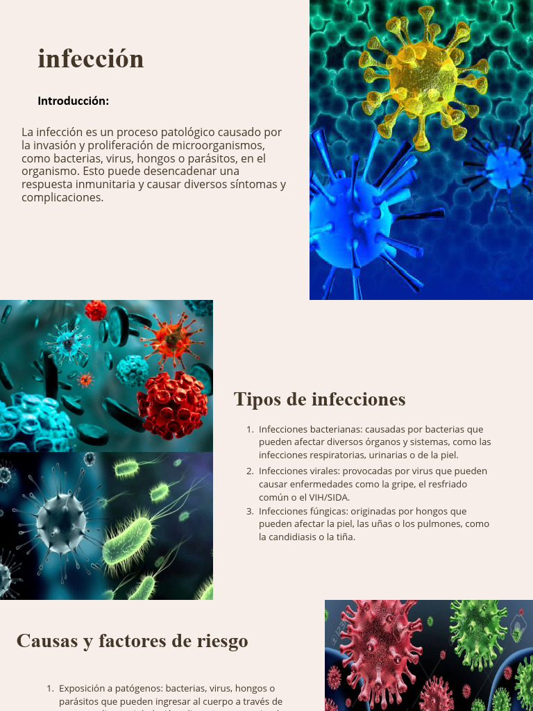 T2 Bioseguridad | PDF | Infección | Virus