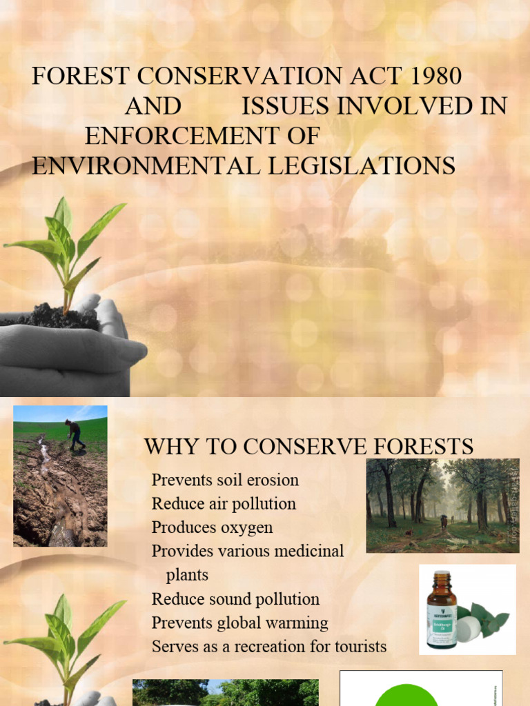 Forest Conservation Act 1980 Overview | PDF | Technology & Engineering