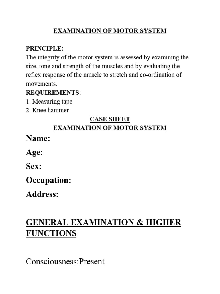 Motor System | PDF | Human Leg | Anatomical Terms Of Motion