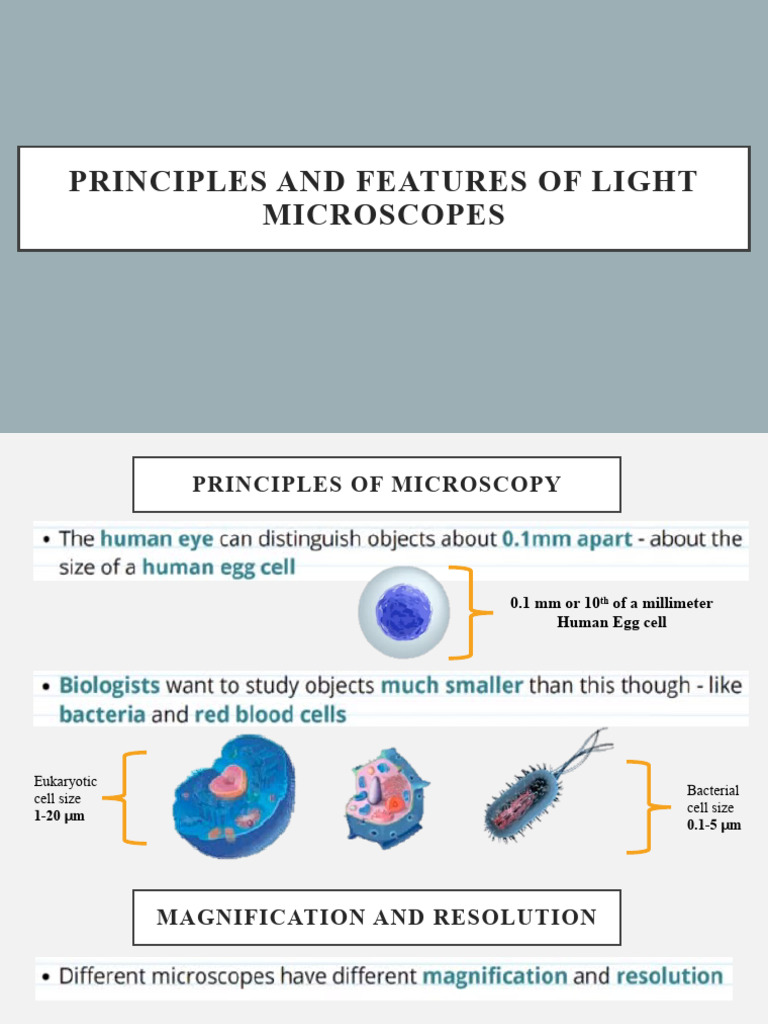 AS Biology ch1 Micros | PDF | Electron Microscope | Microscopy