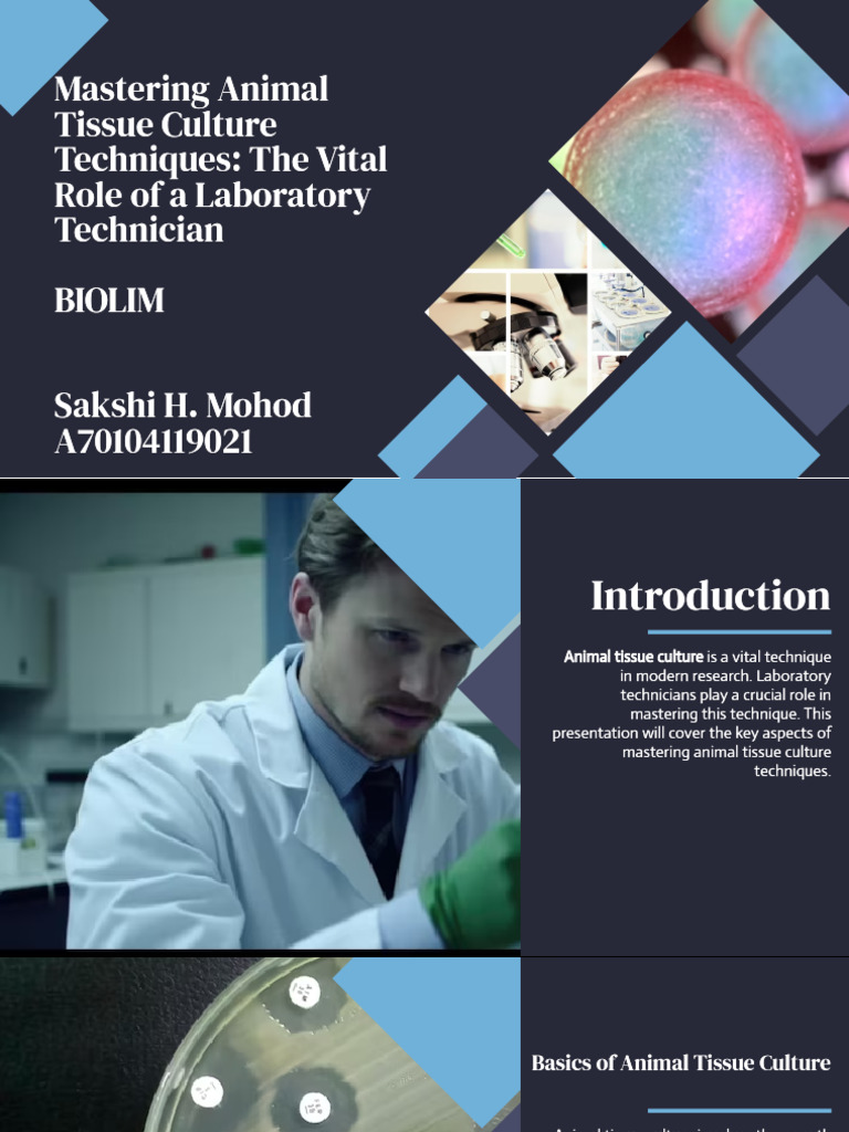 Wepik Mastering Animal Tissue Culture Techniques The Vital Role of A Laboratory Technician ...