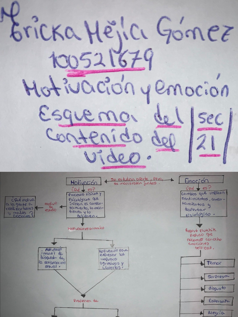 Esquema Del Contenido Del Video Ericka Mejía Gómez | PDF