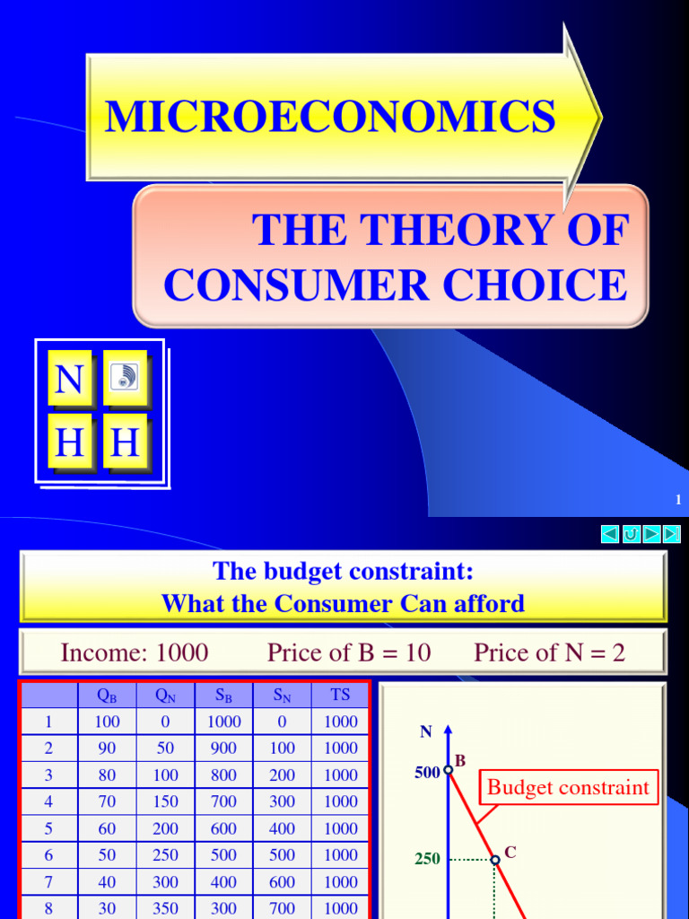 Consumer Choice Theory Explained | PDF | Demand | Consumers
