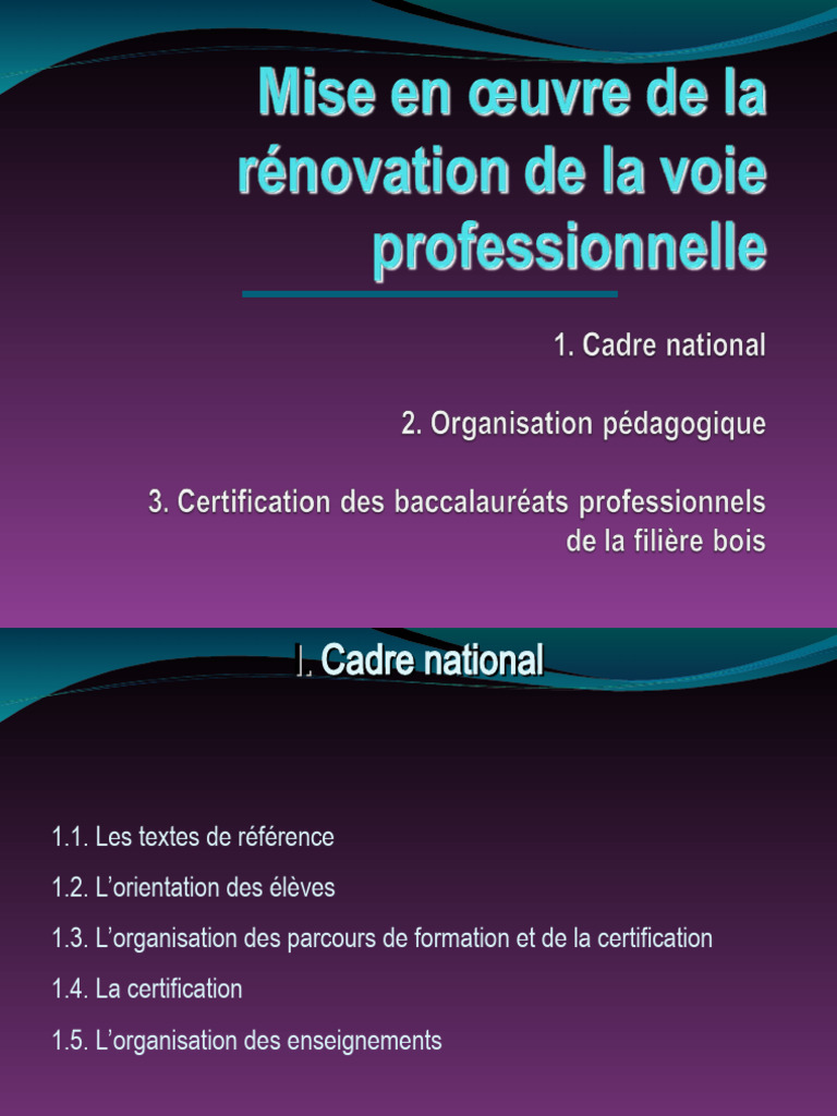 1ere Partie Presentation Renovation Voie Pro Bois | PDF | Pédagogie | Instruction différenciée