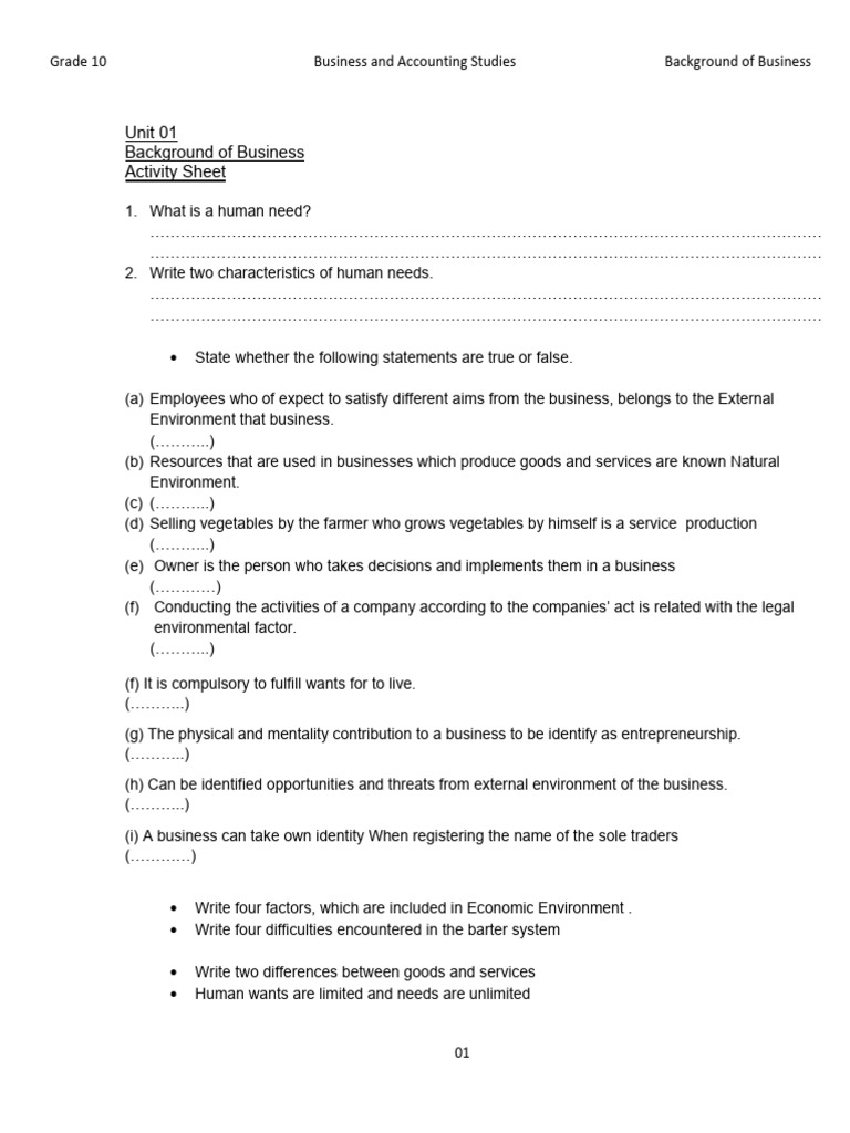 Grade 10 Business Studies Activity Sheet | PDF | Economies | Business