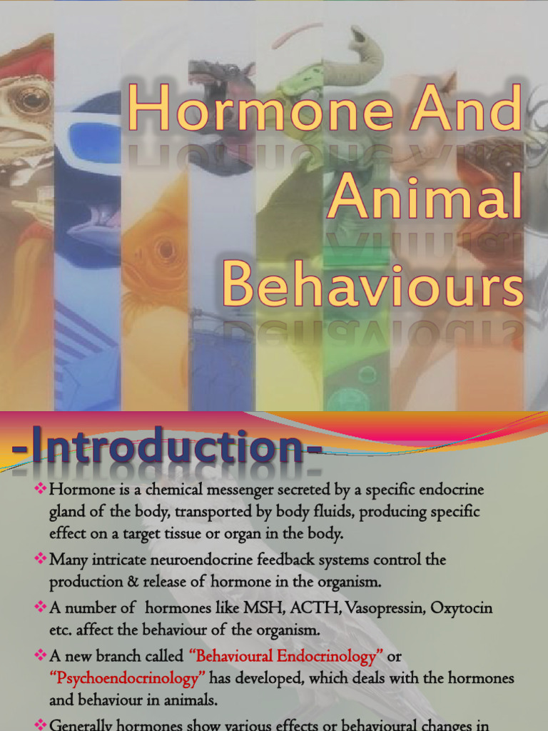 Hormonal Influence on Animal Behavior | PDF | Zoology | Behavioural ...