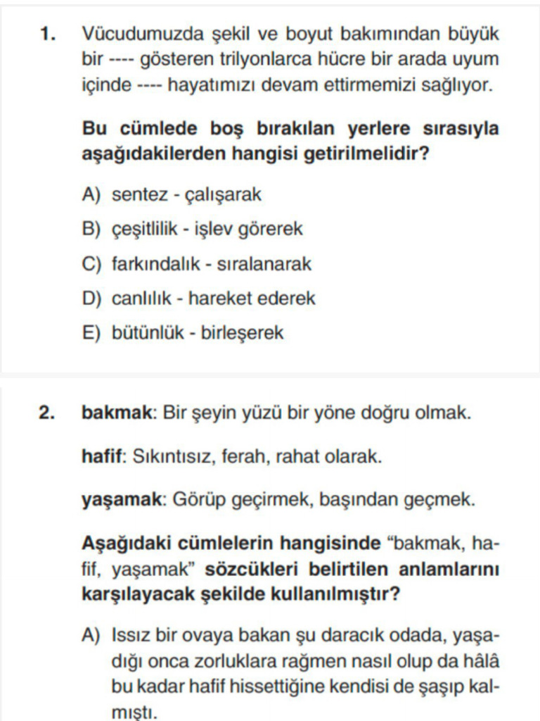 Meb TYT DENEME | PDF