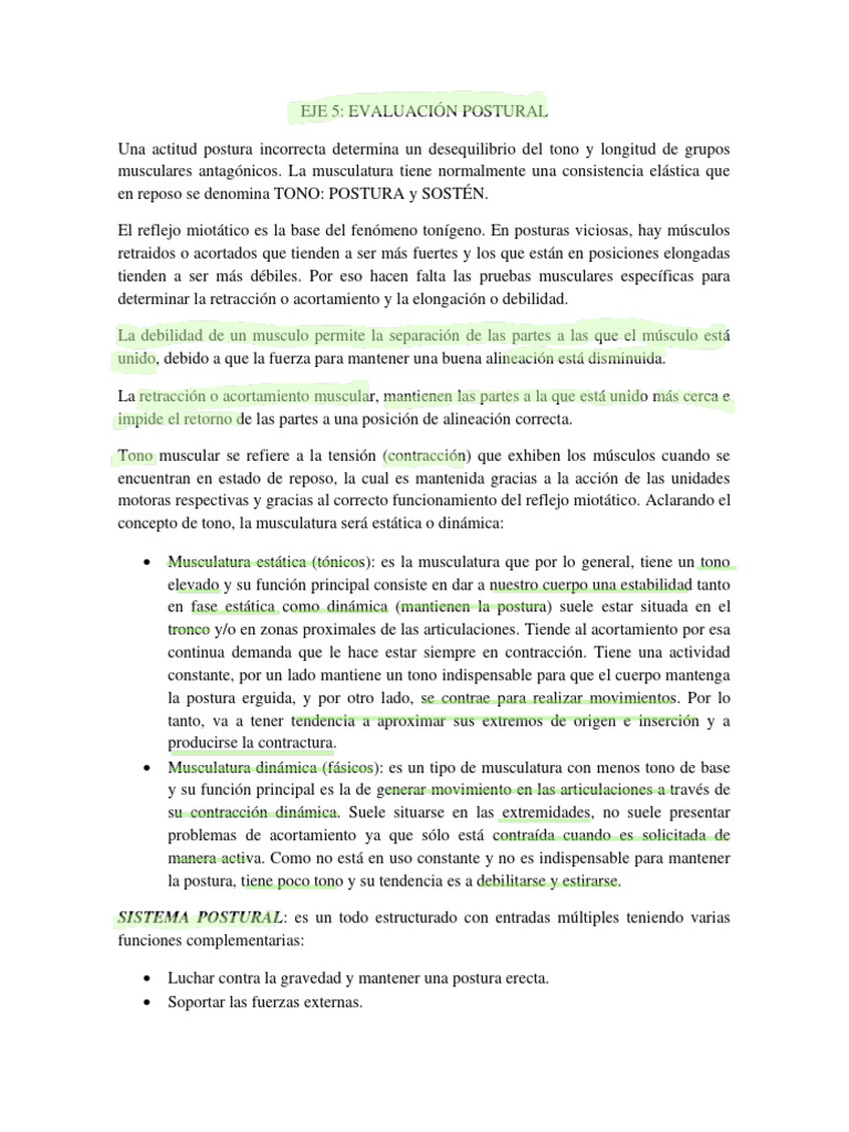 Evaluación Postural y Tono Muscular | PDF | Neurona motora | Músculo