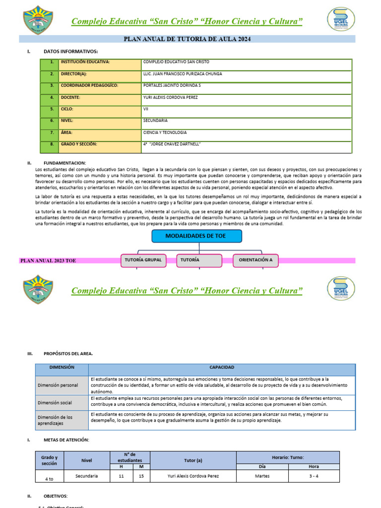 3º Plan Anual Tutoria 3°4° Sec 2023 | Descargar gratis PDF | Aprendizaje | Evaluación