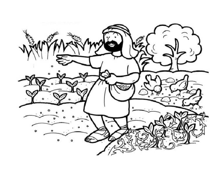 Dibujo La Parábola Del Sembrador | PDF