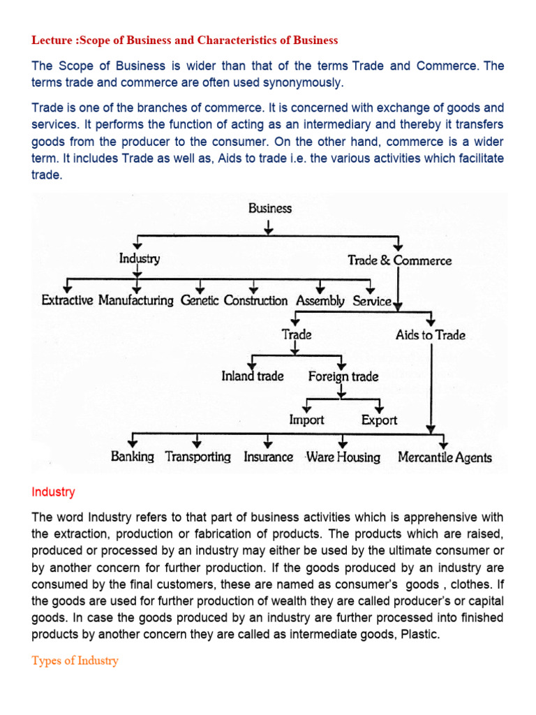 Scope of Business | PDF | Goods | Commerce