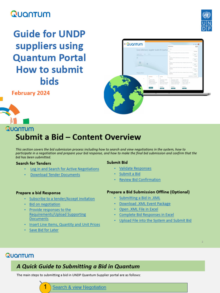 UNDP Quantum - User Guide For Suppliers - Submitting Bids | PDF ...