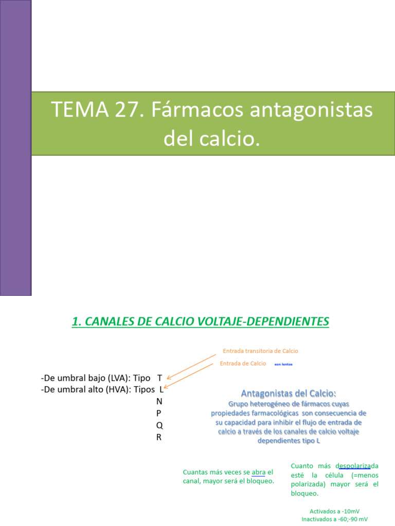 TEMA 27 (Antag Ca) | PDF | Neuroquímica | Drogas
