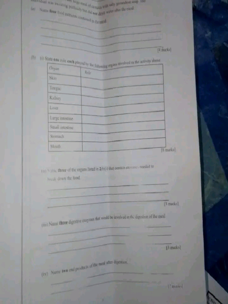 PDF Phoenix 20240523 | PDF