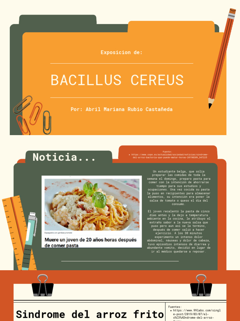 Abril Mariana Rubio Castañeda-Bacillus Cereus-230 | PDF | Alimentos ...