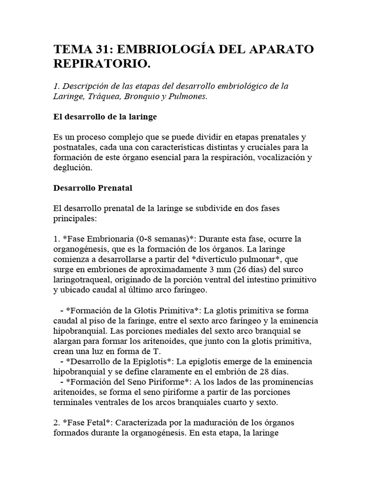Tema 31 Embriologia Del Aparato Respiratorio | PDF | Pulmón | Sistema respiratorio